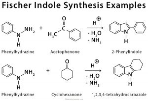Fischer Indole Synthesis: Definition, Examples and Mechanism