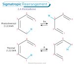 Sigmatropic Rearrangement: Definition, Types, and Examples