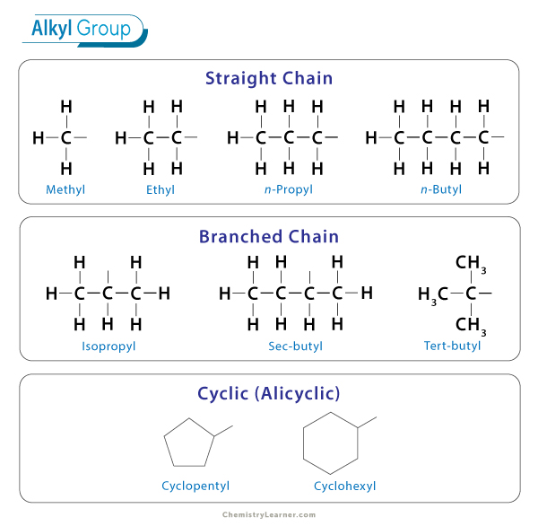 Functional Group: Definition, List, and Examples